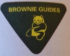 Brownie – Conservation – Leslie's Guiding Badge History