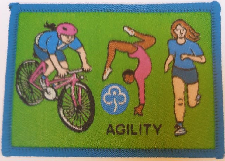 Guide – Agility – Leslie's Guiding Badge History