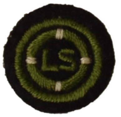 Guide – Lifesaver – Leslie's Guiding Badge History