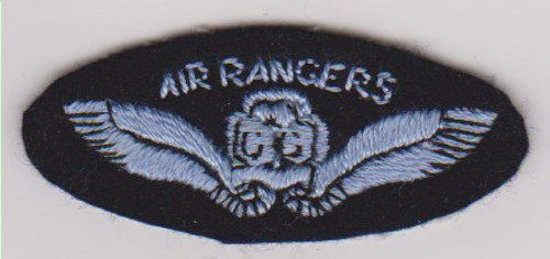 Award – Air Ranger Wings – Leslie's Guiding Badge History
