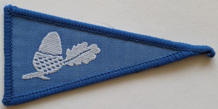 Award – Guide Conservation Pennant – Leslie's Guiding Badge History