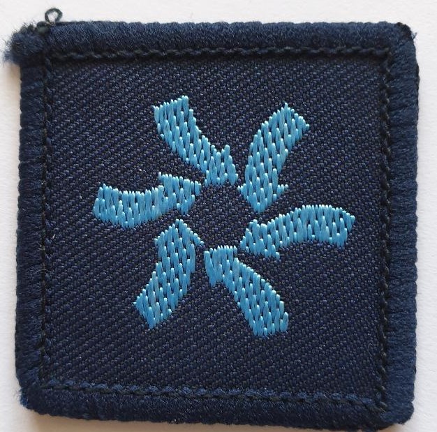 Award – Guide Patrol Purpose Patch – Leslie's Guiding Badge History
