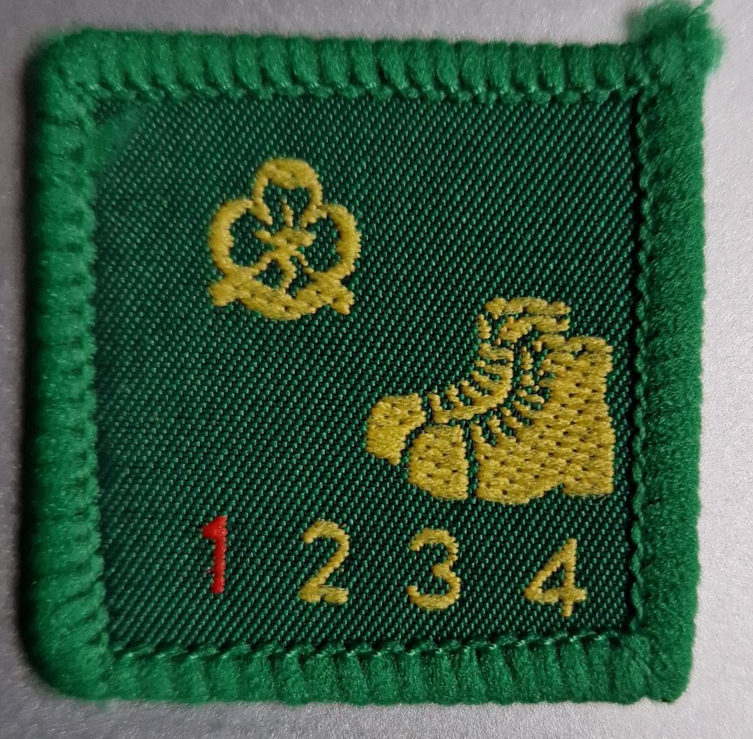Staged – Walking – Leslie's Guiding Badge History