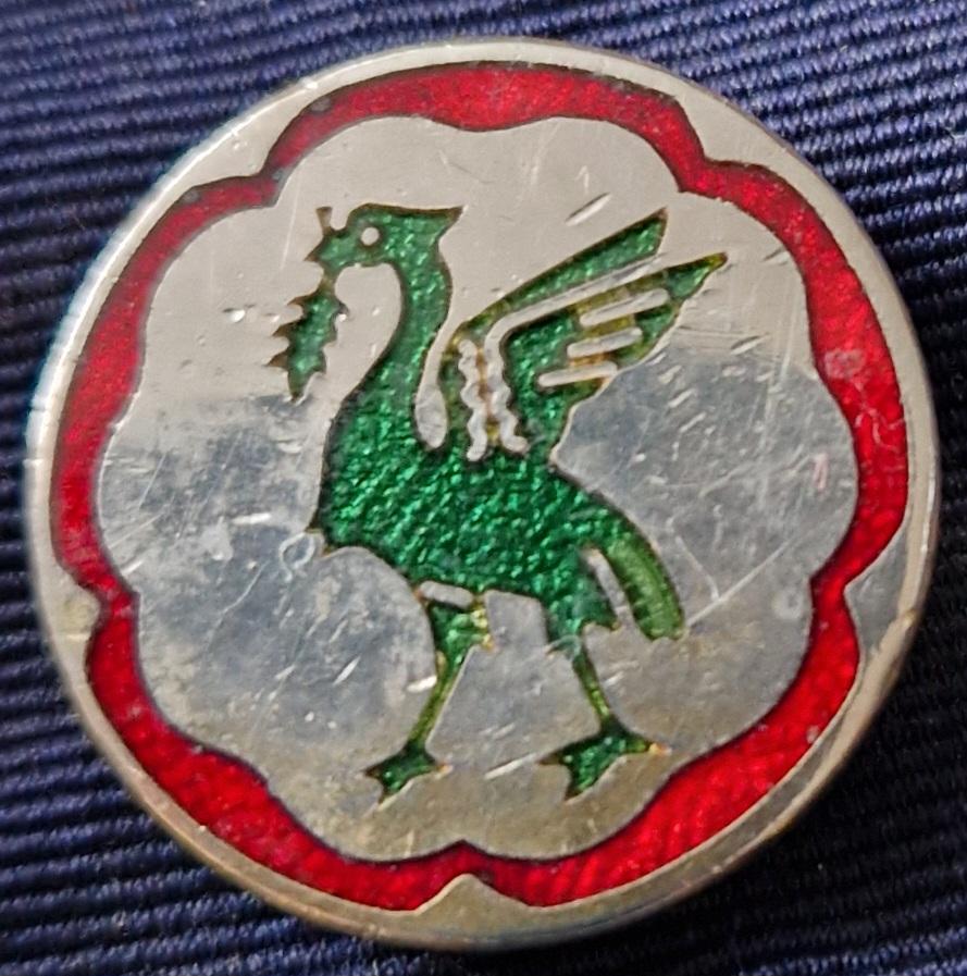 UK County Badges – Leslie's Guiding Badge History